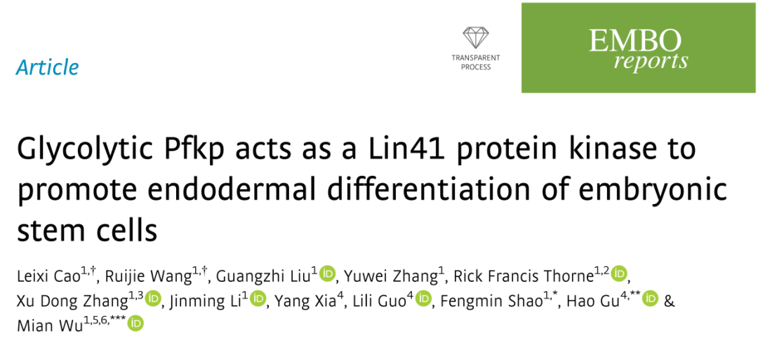 EMBO Reports︱郑州大学吴缅/邵凤民/安徽医科大学吴缅团队发现血小板型磷酸果糖激酶PFKP作为蛋白激酶调控mESC胚系分化 - 知乎