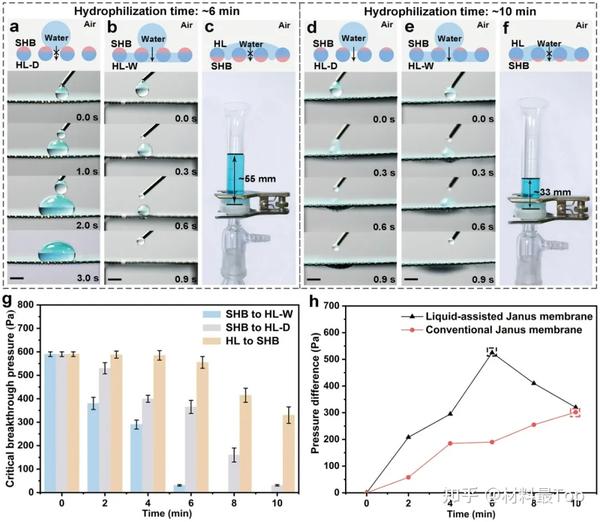 刘克松/金旭合作Adv. Sci.：液体辅助单层Janus膜，单向液体渗透！ - 知乎
