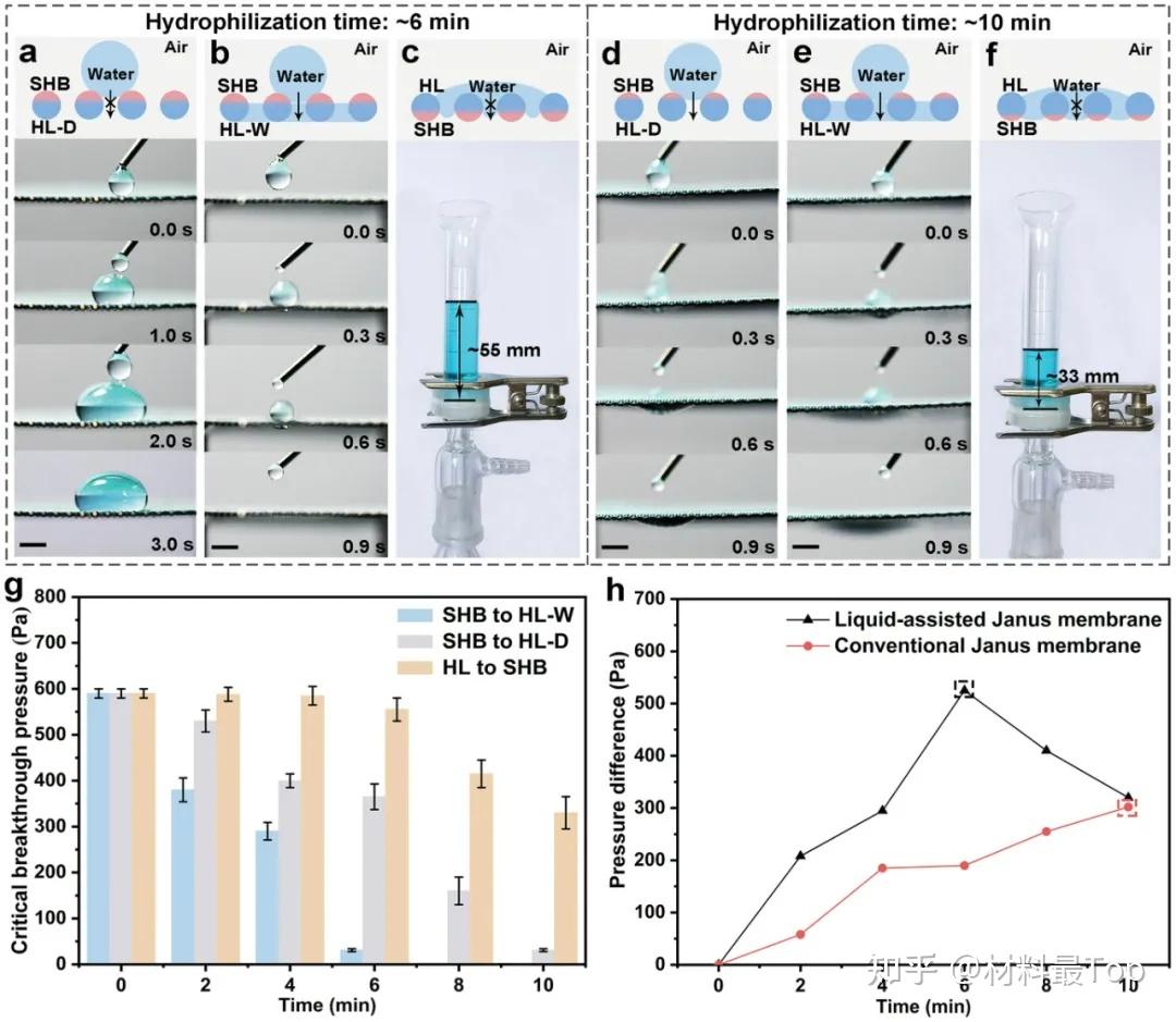刘克松/金旭合作Adv. Sci.：液体辅助单层Janus膜，单向液体渗透！ - 知乎