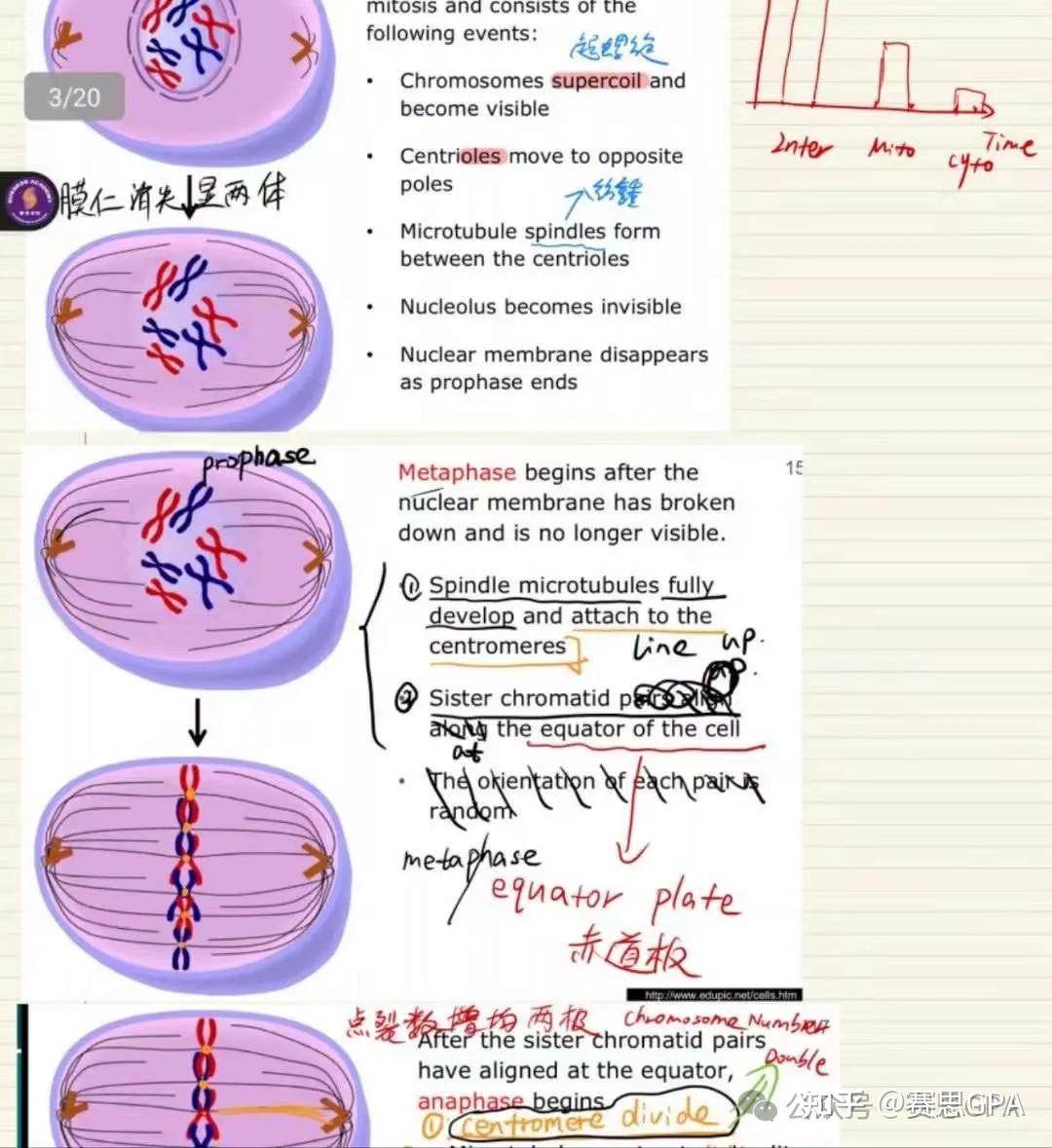 AP生物真爱粉们看过来：《APer备考宝典》解决所有生物重难点！ - 知乎