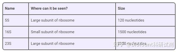 16S rRNA-定义、特点、功能及应用 - 知乎
