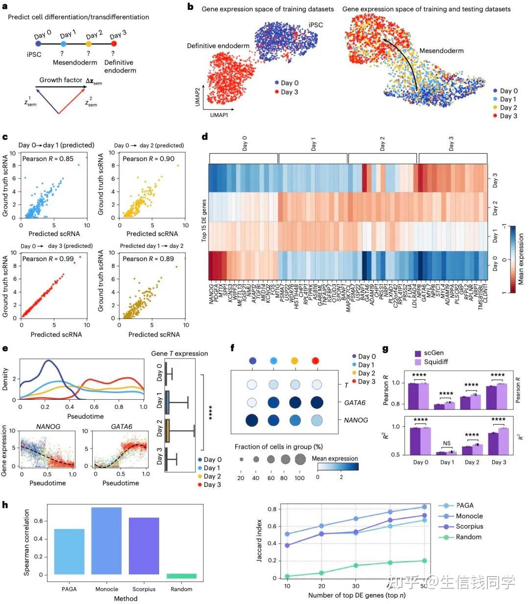 Nat Methods 这个单细胞方法有意思 Squidiff 可精准预测细胞发育与环境响应 知乎
