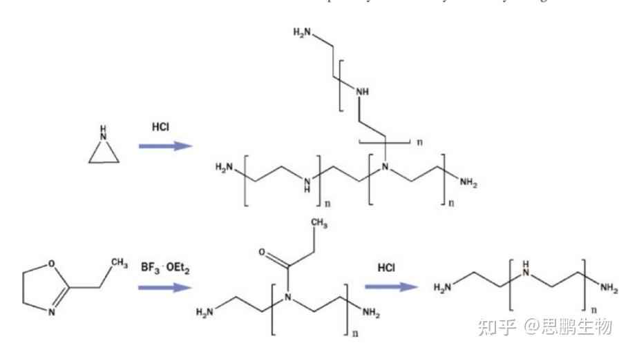 PEI & FectoPRO - 知乎