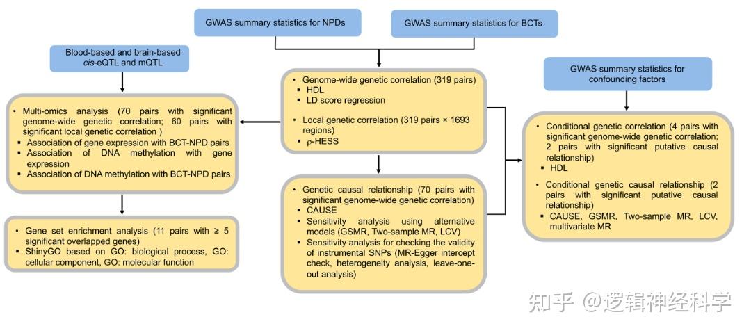 Cell Genomics︱澳大利亚昆士兰大学Mater研究所杨远号等揭示血细胞特征与神经精神疾病共享遗传结构的广泛图谱， 助力神经精神疾病的早期诊断和治疗 - 知乎