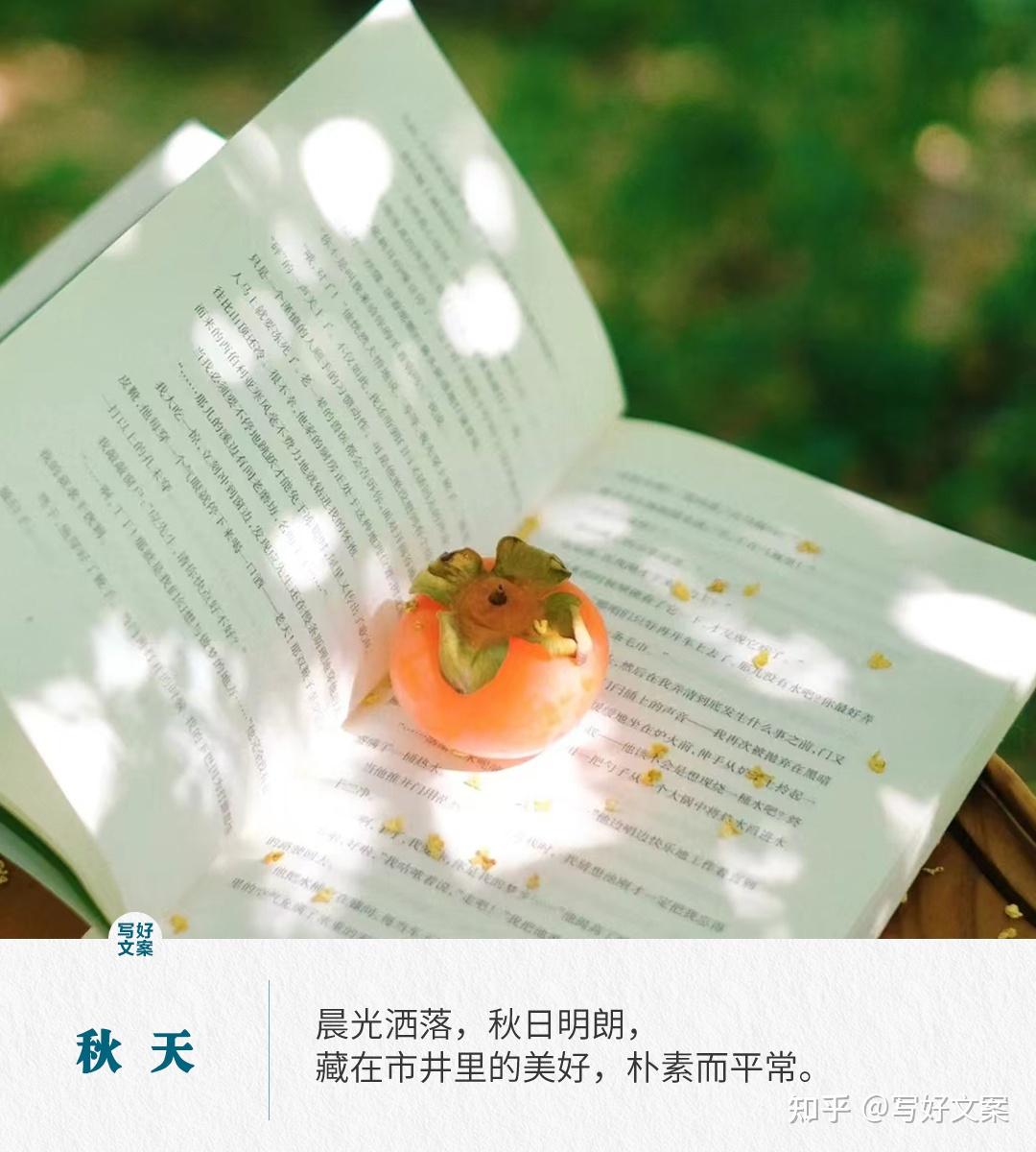 秋天文案短句,干净唯美 知乎
