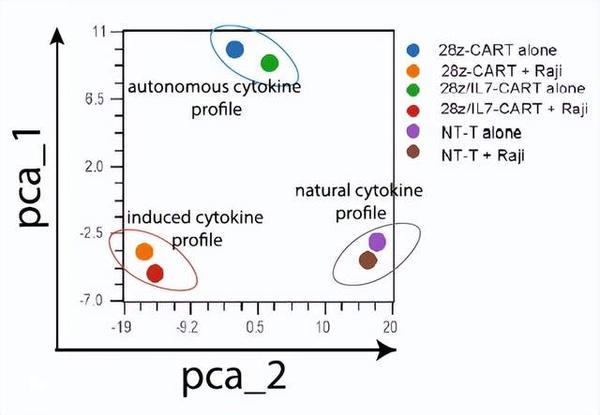 文献解读 | IL-7转基因调节CAR-T细胞抗肿瘤持久性研究 - 知乎