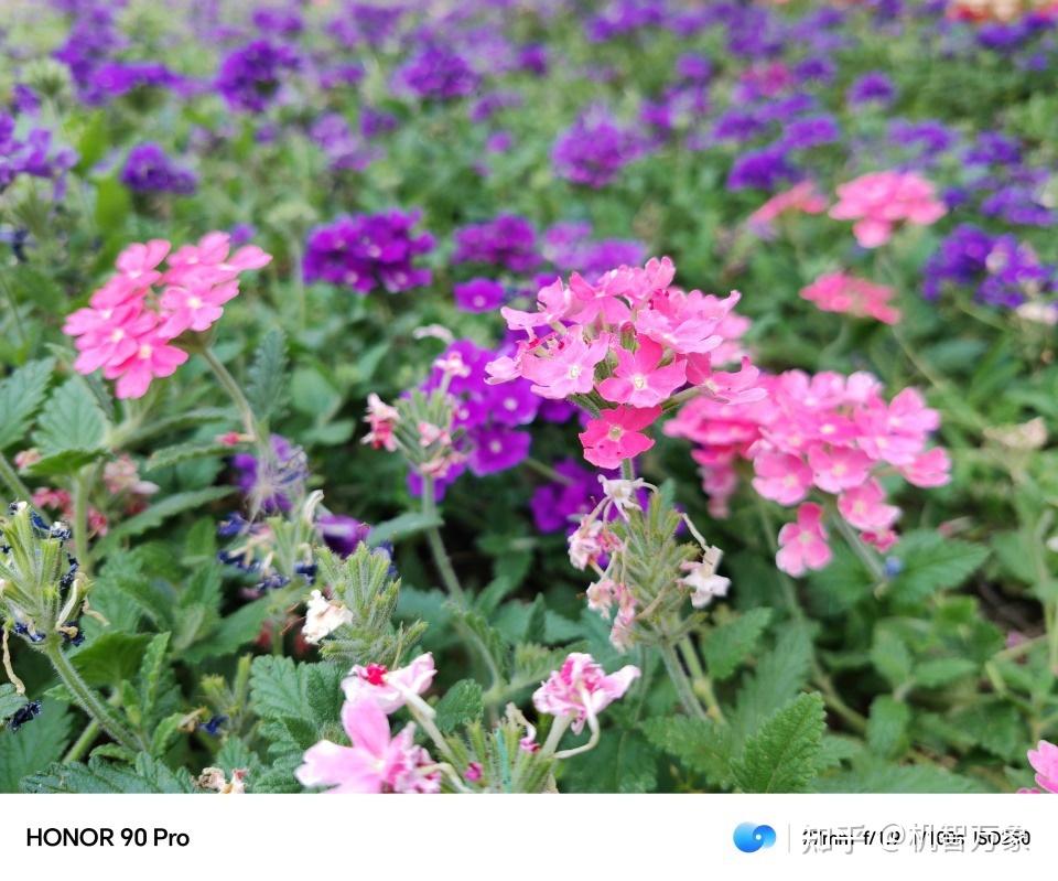 新增控制中心功能 荣耀90系列迎MagicOS7.1更新推送 影像屏幕是亮点 - 知乎