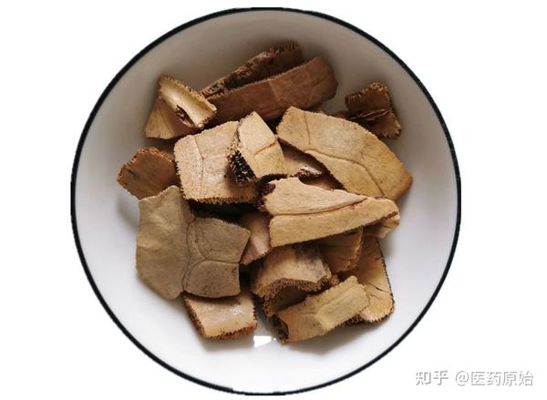 带你识别龟甲 知乎