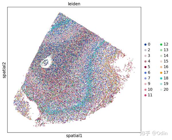 教程：用scanpy和squidpy分析单细胞空间转录组数据 - 知乎