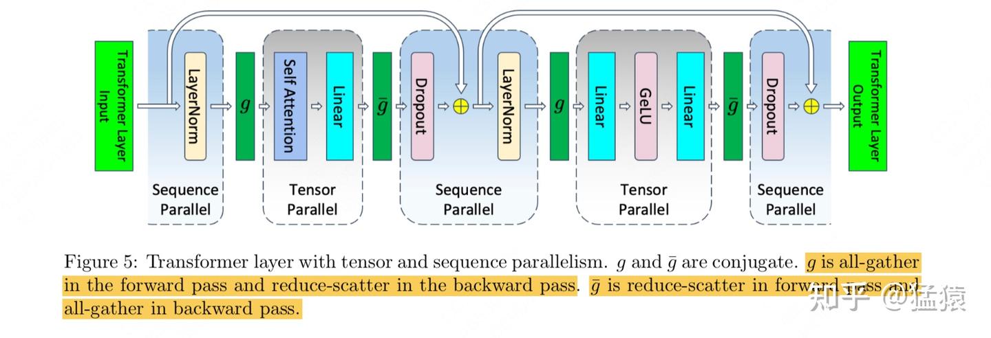 图解大模型训练系列：序列并行1，Megatron SP - 知乎