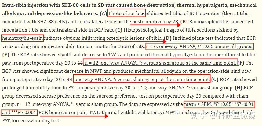SCI写作-SCI文章中图例（figure legend）频频出问题，看看这篇文章怎么说 （基础实验版） - 知乎