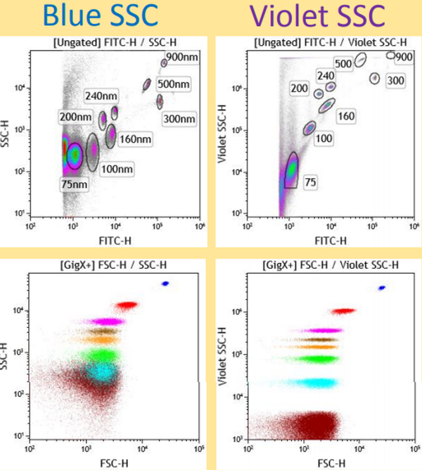 CytoFLEX怎样做好外囊泡检测？ - 知乎