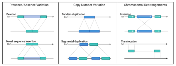 第一节 泛基因组（Pan-geneome）是什么 - 知乎