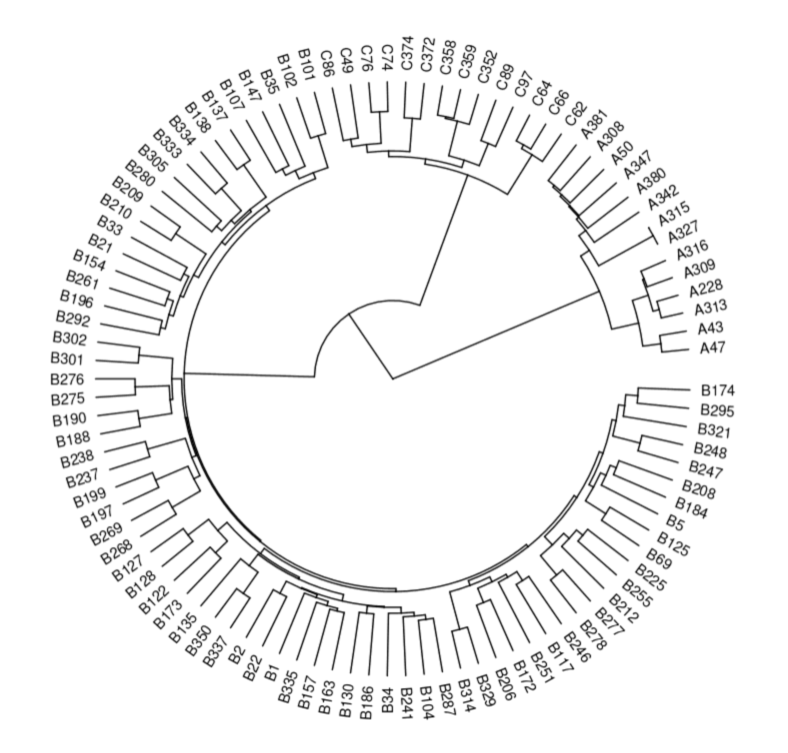 基因型数据绘制PCA图和聚类分析图 - 知乎
