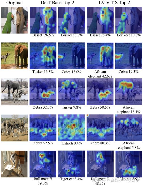 【更多 token 监督】All Tokens Matter: Token Labeling for Training Better ...