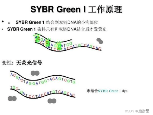 核酸染料小知识 - 知乎