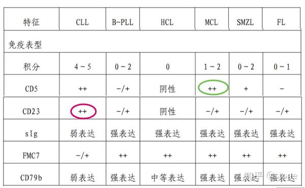 滤泡性淋巴瘤fl 知乎