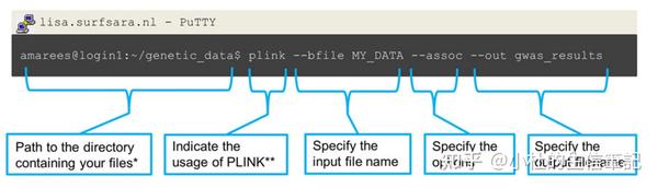 GWAS分析教程 | 一篇教程可以发3区SCI - 知乎