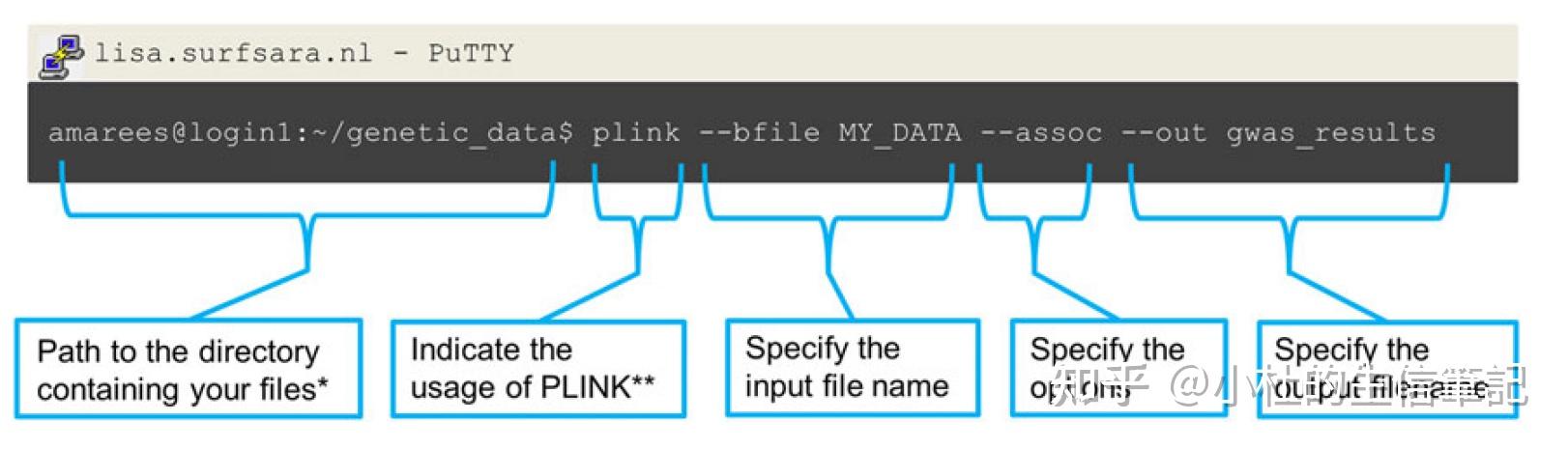 GWAS分析教程 | 一篇教程可以发3区SCI - 知乎