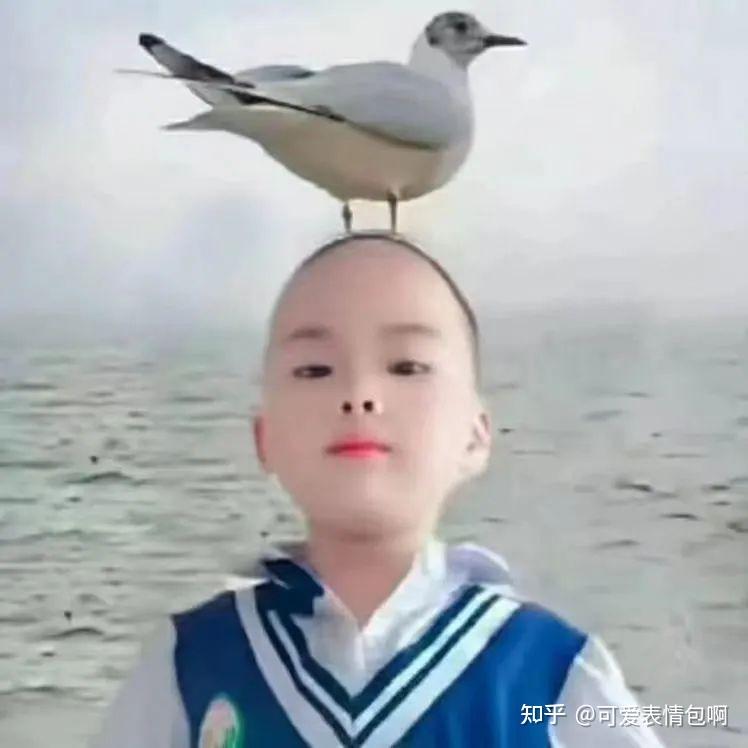 小孩哥丨美妆蛋男孩表情包 知乎