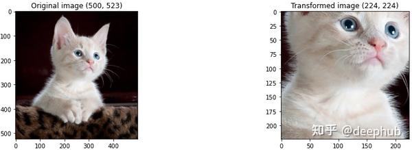 12个常用的图像数据增强技术总结 - 知乎