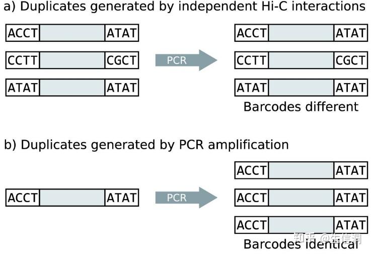 HiCUP对HiC数据进行预处理 - 知乎