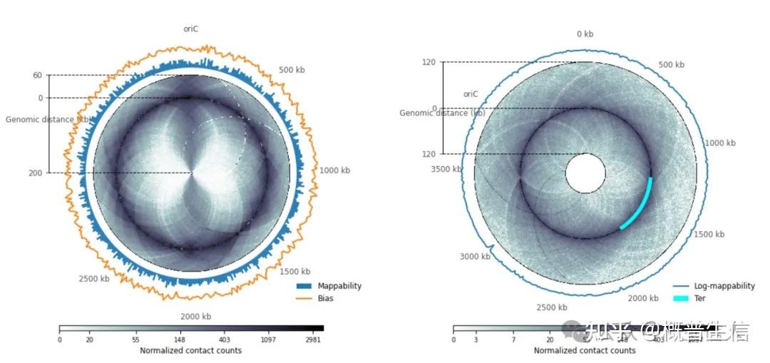 Hi-C数据的可视化工具汇总 - 知乎