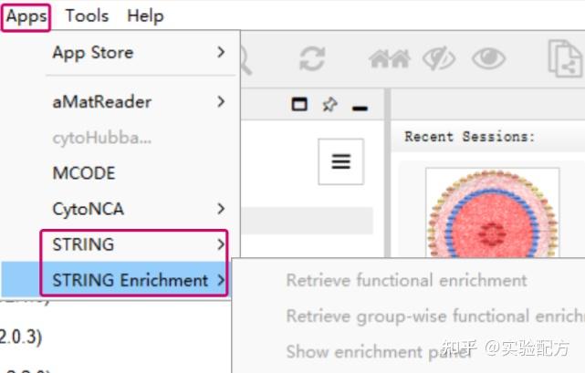 Cytoscape中的string App - 知乎