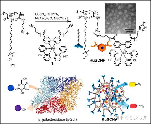 催化周报：Nat. Catal.、JACS、Angew、PNAS等大合集！！! - 知乎