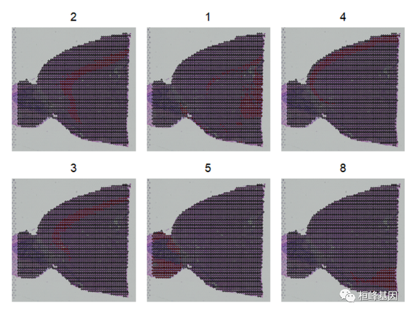 SCS【21】单细胞空间转录组可视化 (Seurat V5) - 知乎