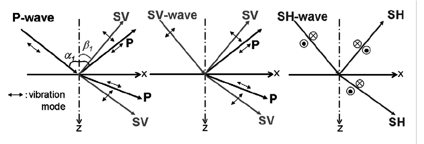 P 波和 S 波振动方向和传播方向的关系？ - 知乎