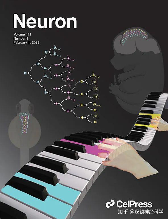 Neuron︱收藏！2023年期刊封面文章汇总 - 知乎