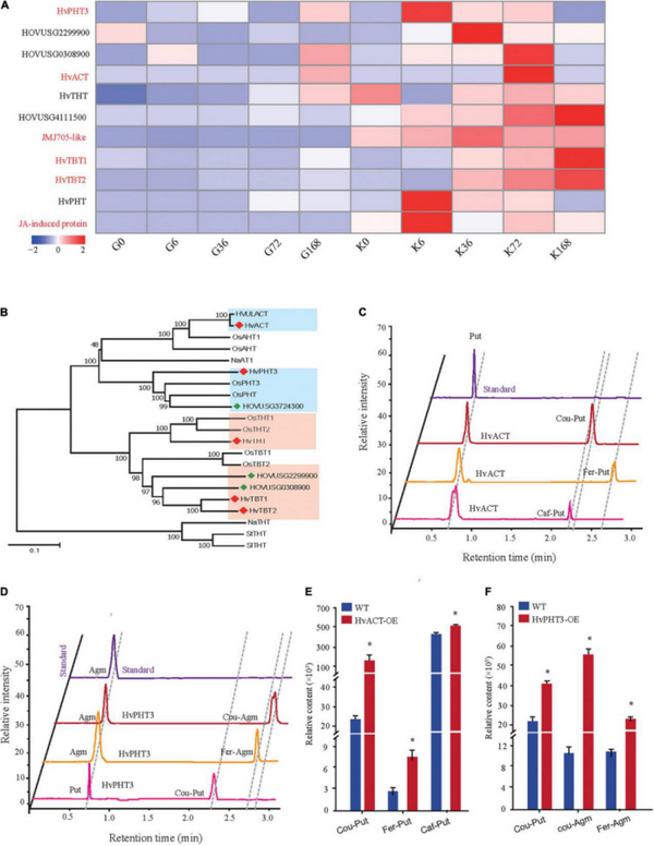 项目文章 | FRONT PLANT SCI&ChIP-seq助力揭示青稞对白粉病的抗性机制 - 知乎