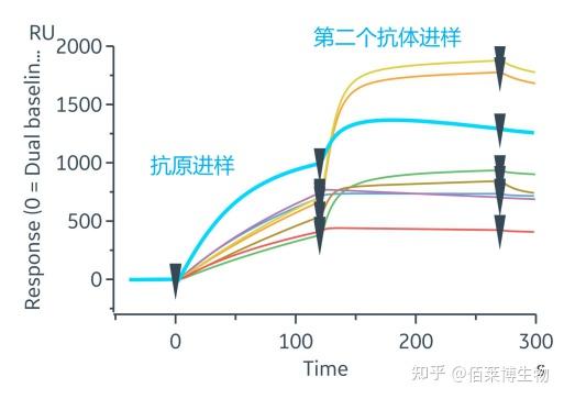 SPR（Biacore）竞争性结合实验案例分享（一）：定性竞争结合实验 - 知乎