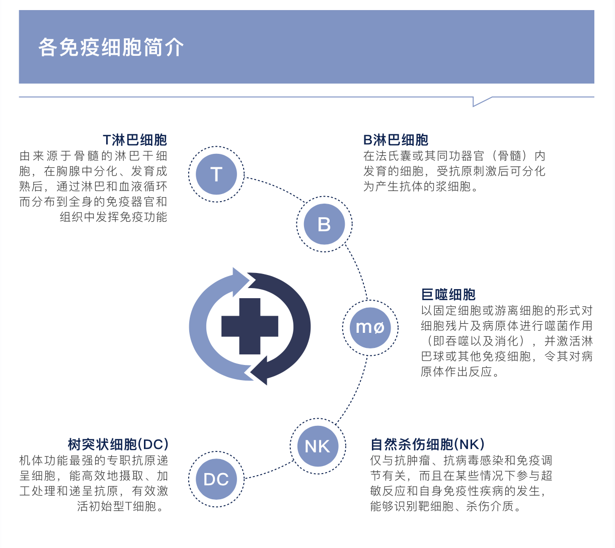 CELLIN细胞里：详文科普-从免疫力谈到免疫细胞（科普系列EP5） - 知乎