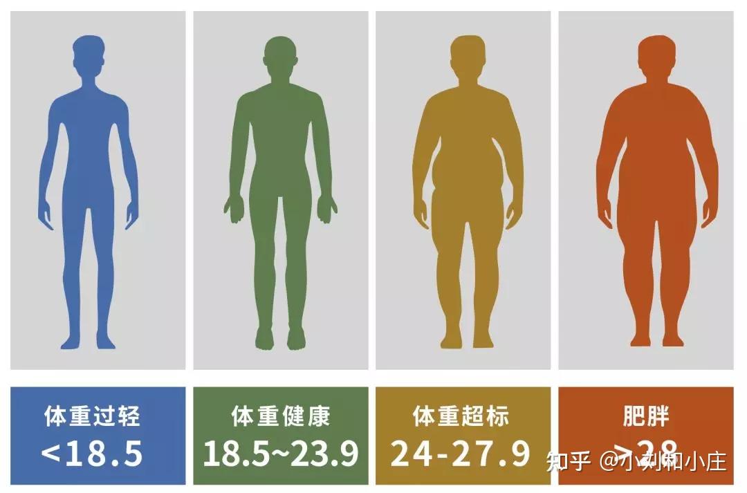 什么是bmi？如何计算自己的bmi？