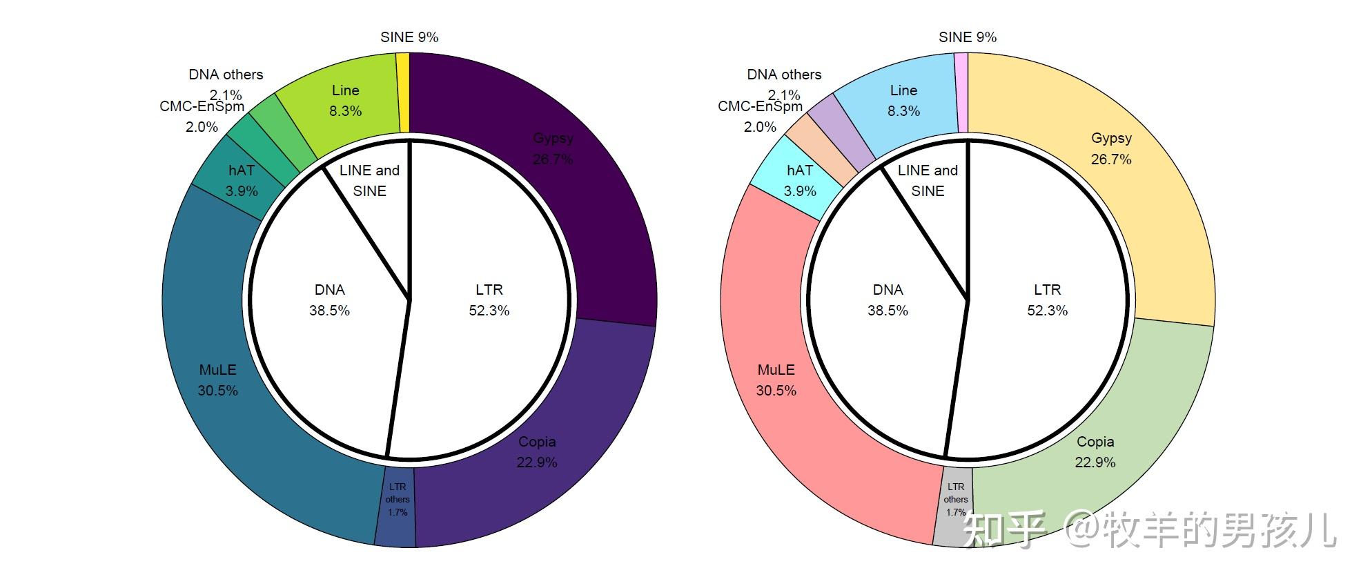 跟着Nature Plants学作图：R语言ggforce做甜甜圈饼图展示基因组中转座子的比例 - 知乎