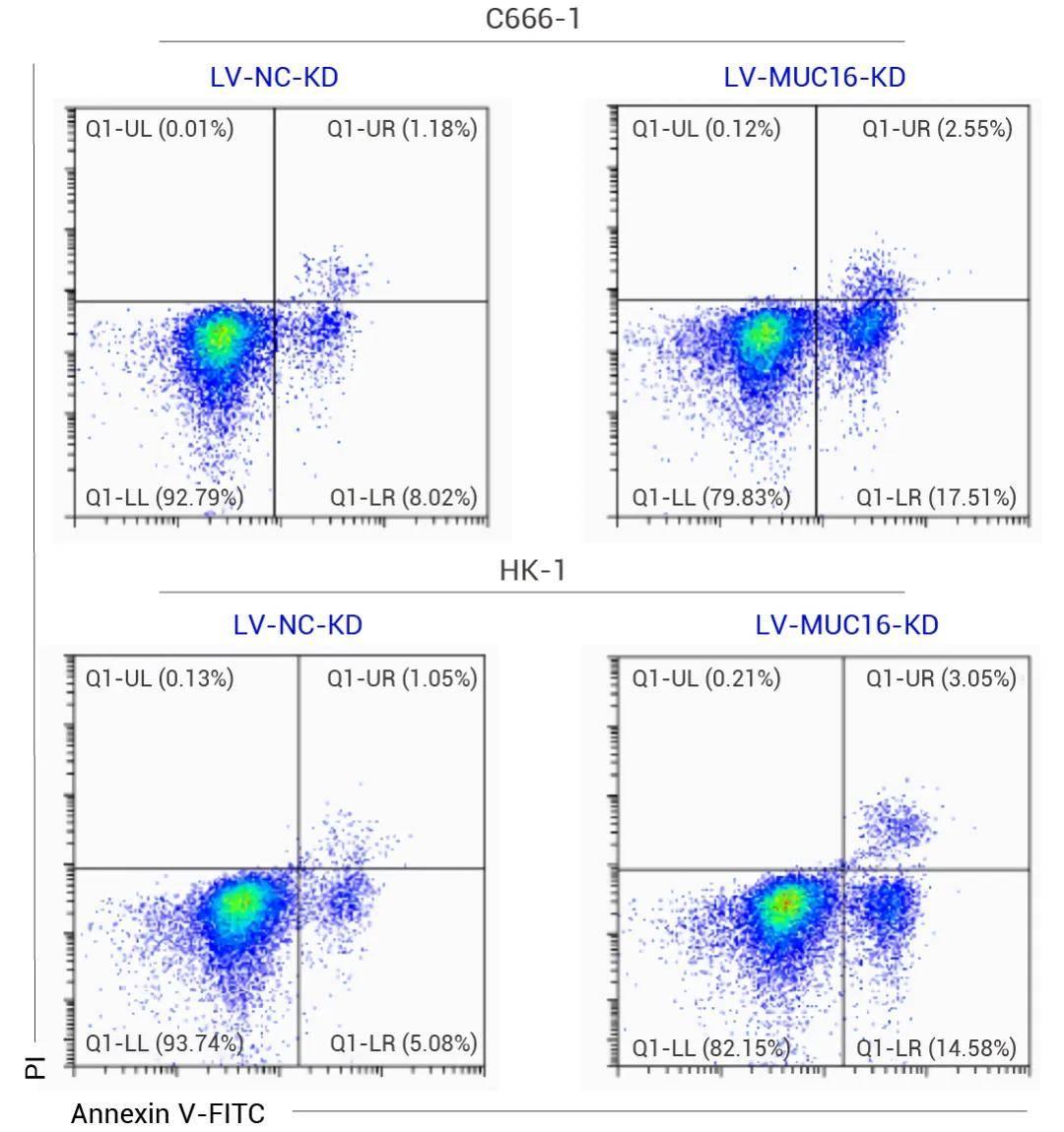 细胞凋亡的流式检测？实验步骤+结果解读，速戳！ | MCE - 知乎