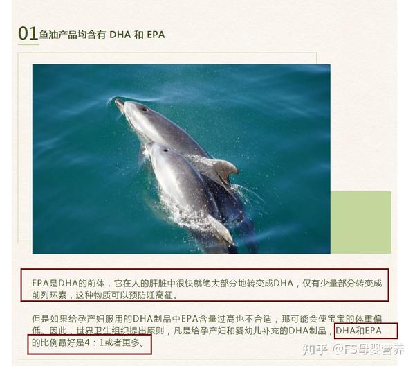 孕期DHA究竟什么时候开始吃？鱼油DHA好还是藻油DHA好？ - 知乎
