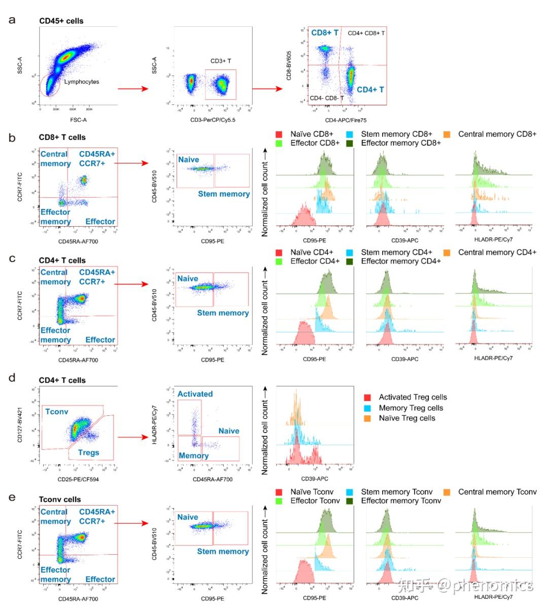 Phenomics|复旦大学钱峰团队发表文章：标准化多参数流式细胞术深度解析人体免疫细胞表型的新方案 - 知乎