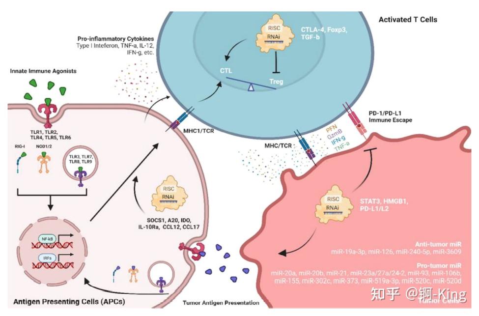 脂质纳米颗粒(LNP)在肿瘤免疫治疗中的应用 - 知乎