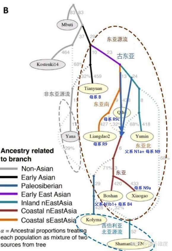 K-M525、NO-M214野生型基本源于中国东部，并非走南线 - 知乎