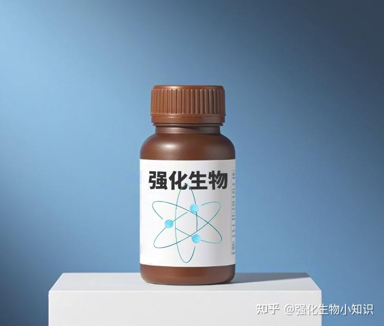 与小编快速了解：L4440 Vector 线虫RNAi干扰载体克隆与构建流程（避坑指南） - 知乎