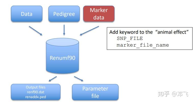 BLUPF90办窘殖玖飞疲 - 知乎