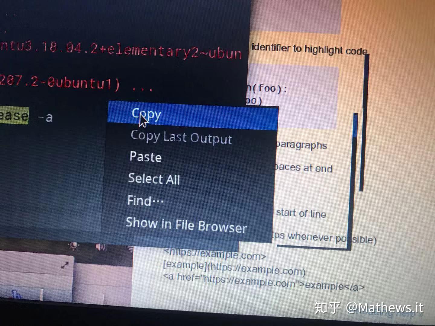 Elementary OS和Compiz的结合 - 知乎