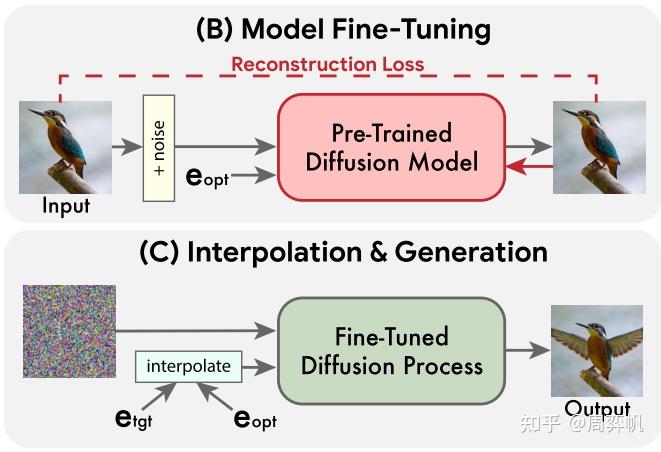 CVPR 2024 | DiffMorpher：实现两张图像间的平滑变形 - 知乎