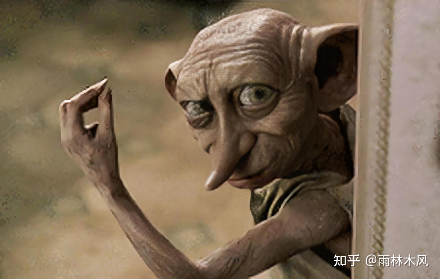 浅析《哈利波特》中家养小精灵 - 知乎