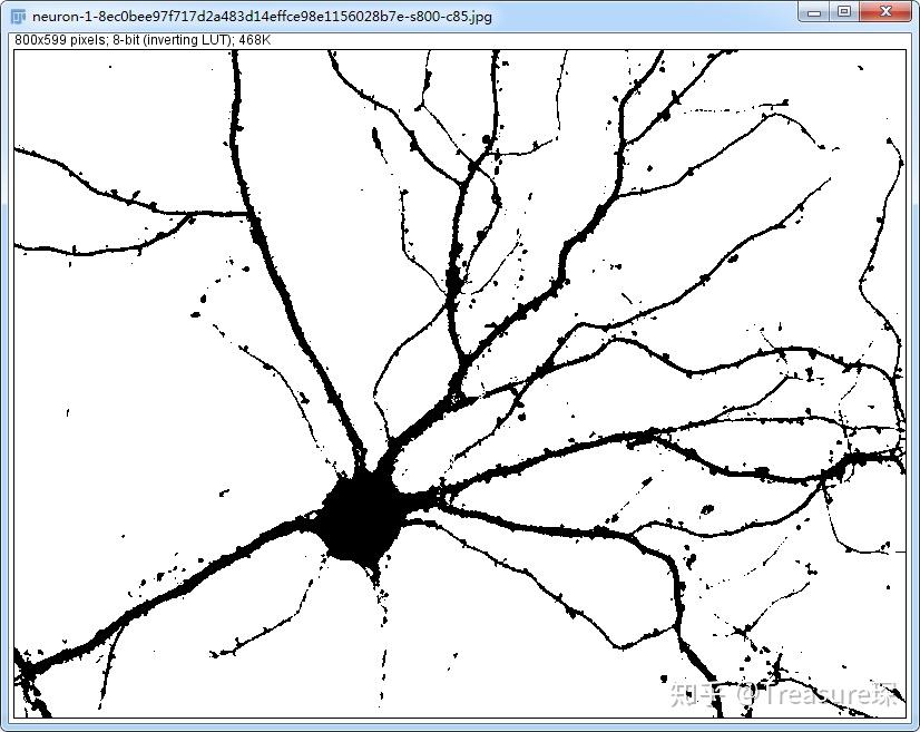 ImageJ实用技巧——Sholl Analysis（二）(插件篇) - 知乎