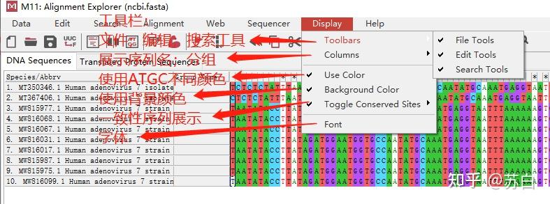 MEGA：安装与序列比对Align - 知乎