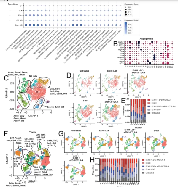 Sci Tra Med | 肿瘤相关巨噬细胞极化可使免疫检查点阻断更有效 - 知乎